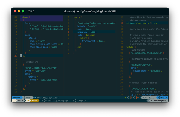 Effective Neovim setup for web development towards 2024
